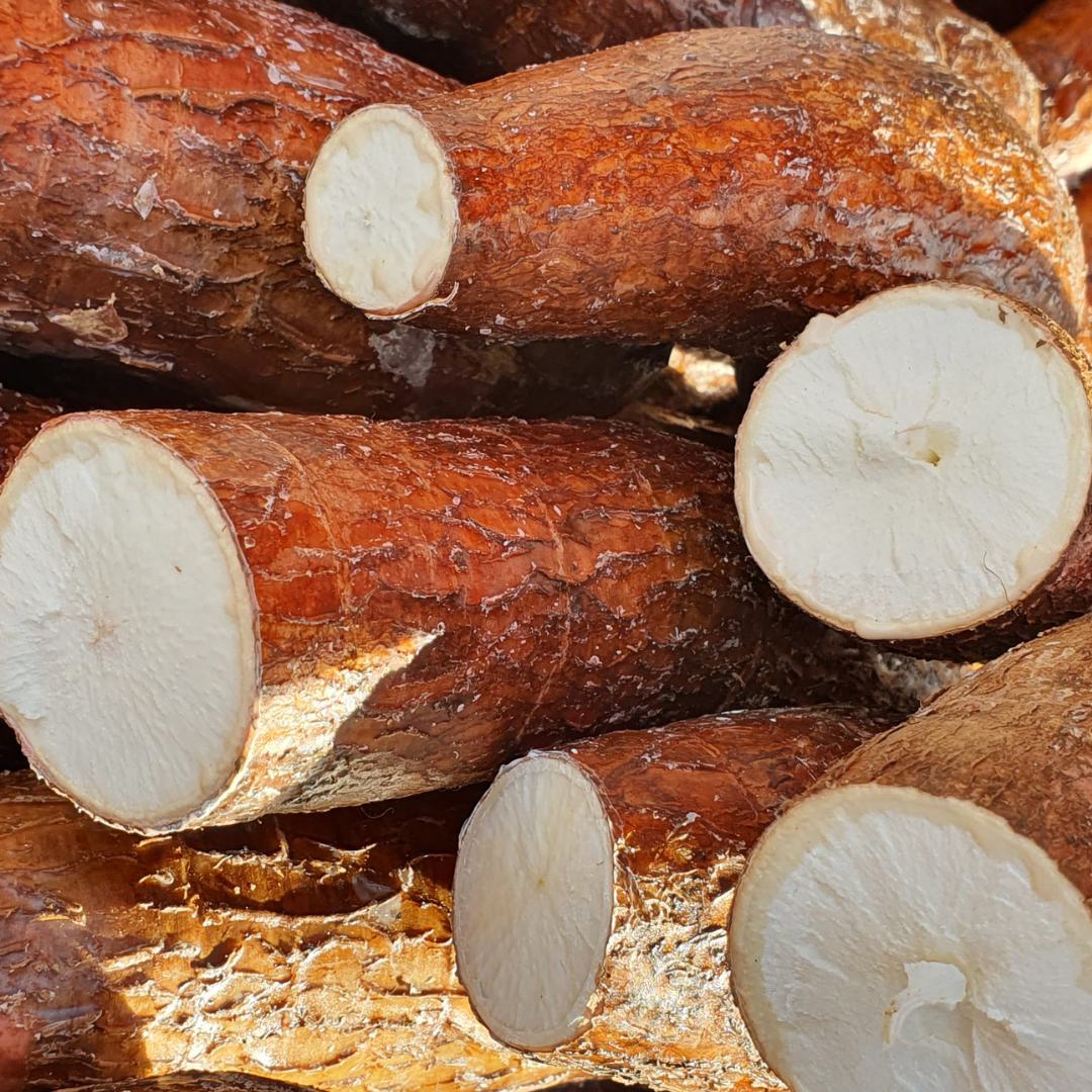 Fragrance Free Luna Clear Shampoo For All Ages + Sensitivities – Pretty ...